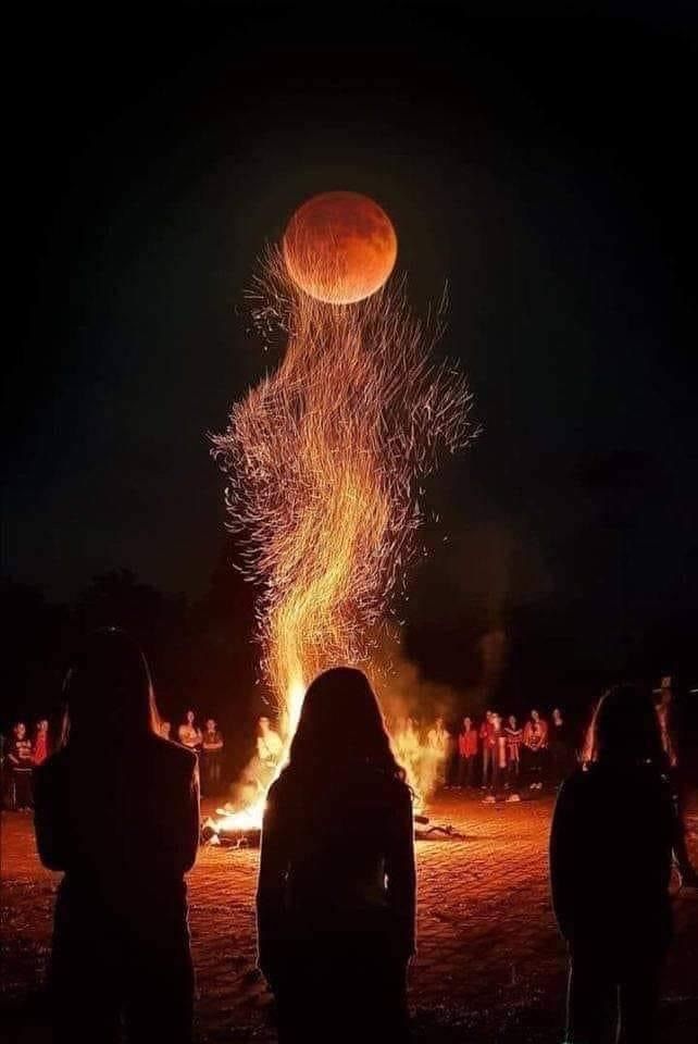 How to Build a Bonfire | nicole sander